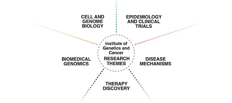 Research Themes | Institute of Genetics and Cancer | Institute of ...