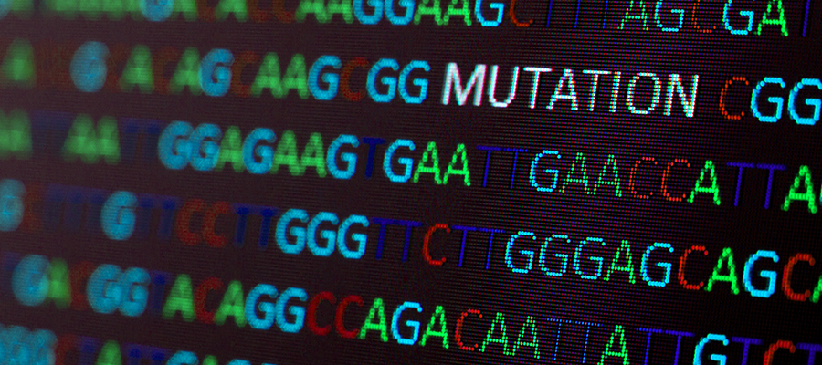 Charlie Gourley Research Group | Institute of Genetics and Cancer ...