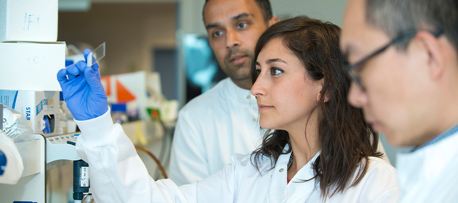 About | Institute of Genetics and Cancer | Institute of Genetics and Cancer