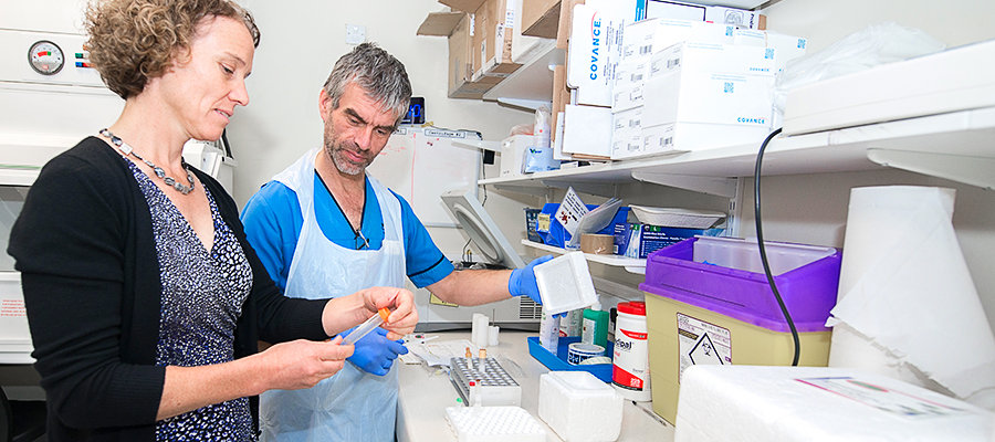 Sally Clive Research Group | Institute of Genetics and Cancer ...