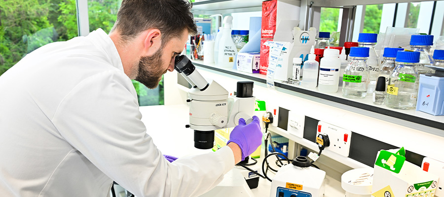 Research Groups A-Z | Institute of Genetics and Cancer | Institute of ...