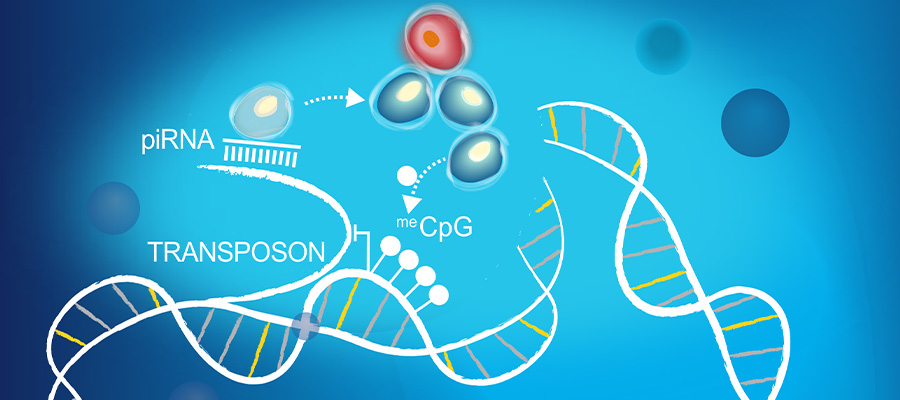 Ansgar Zoch Research Group | Institute of Genetics and Cancer ...